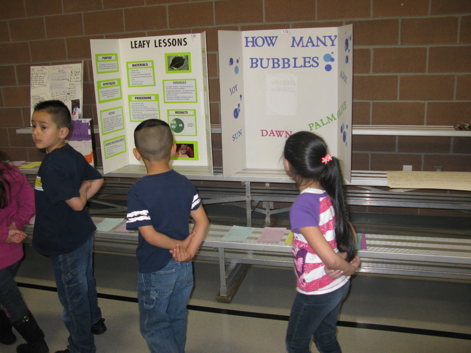 Update: Paul Elementary School Science Fair